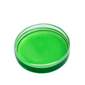 Seaweed Calcium Liquid Fertilizer - High-Efficiency Plant Nutrition for ...