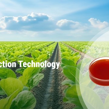 NPK Fertilizer Guide: Benefits, Types & Best Ratios for Vegetables and ...