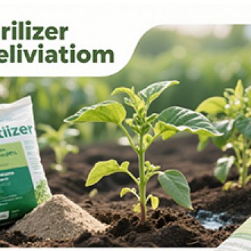 Seaweed & Organic Fertilizers for Fruit Crops | Prevent Cracking ...